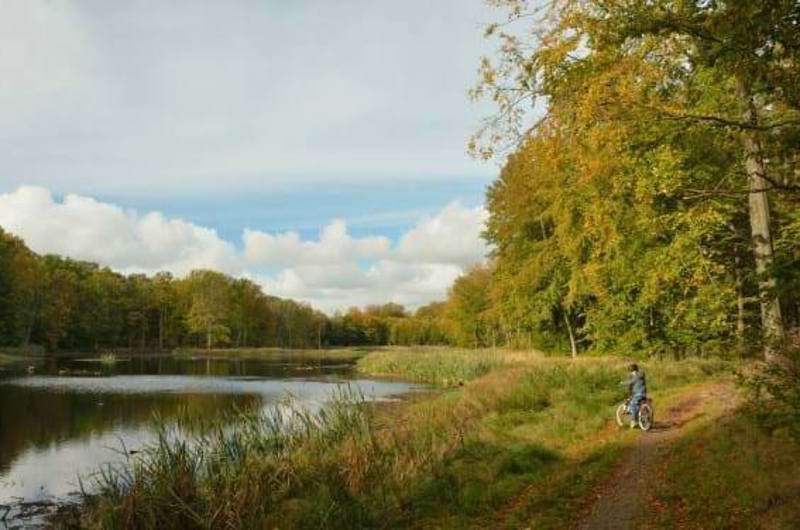 Randers og Gribskov får Danmarks nye natur-nationalparker