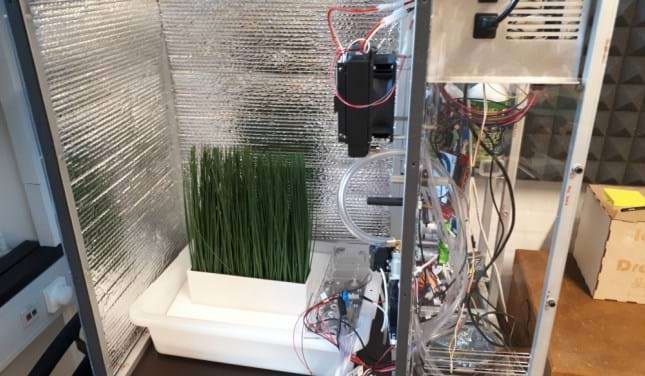 Computer skal dyrke grønt og give børn appetit på mere