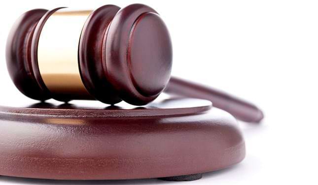 15 facts om kommunalpolitikernes liv